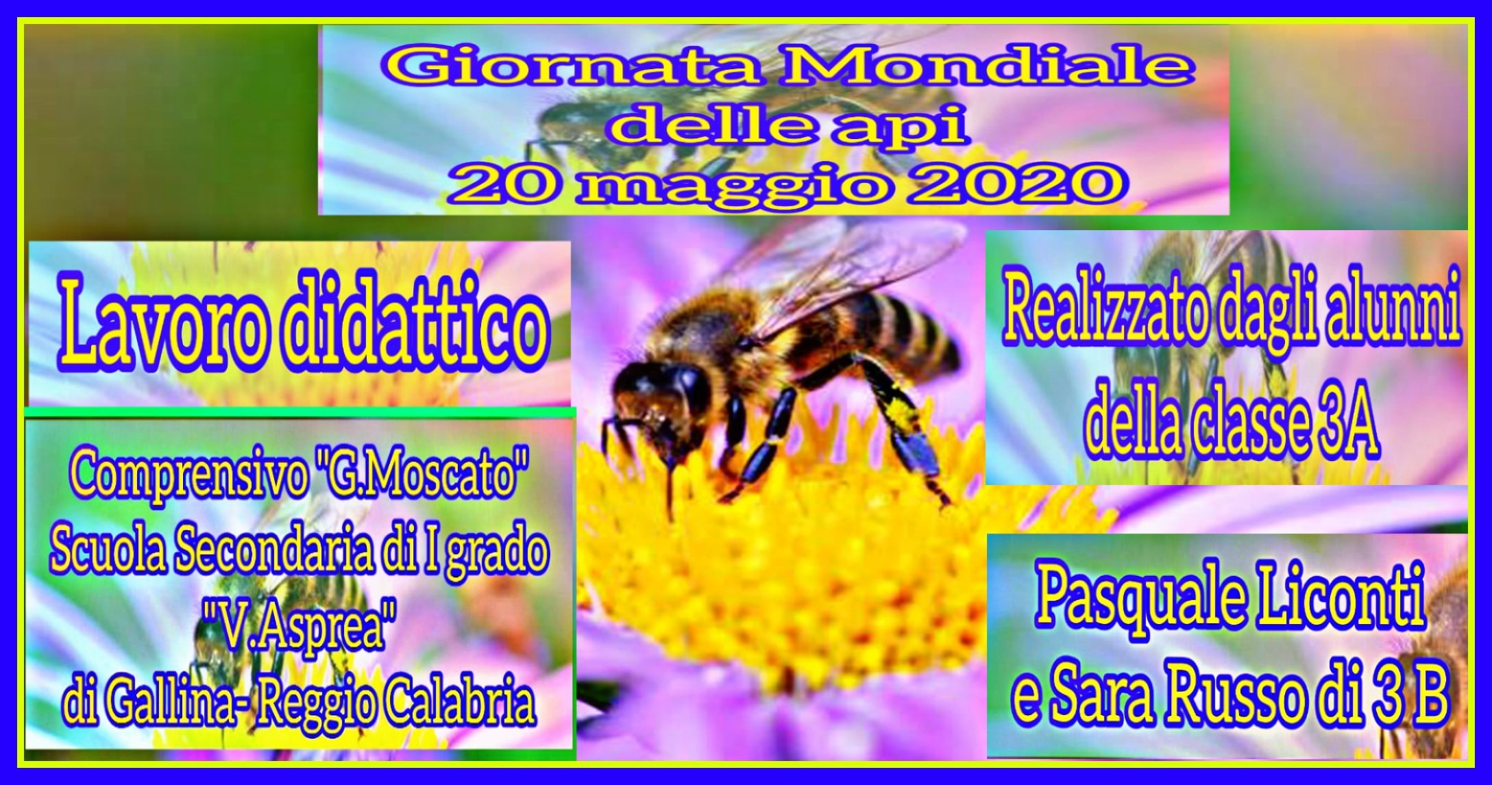 Giornata Mondiale delle Api 20 maggio 2020 - Istituto Comprensivo G ...